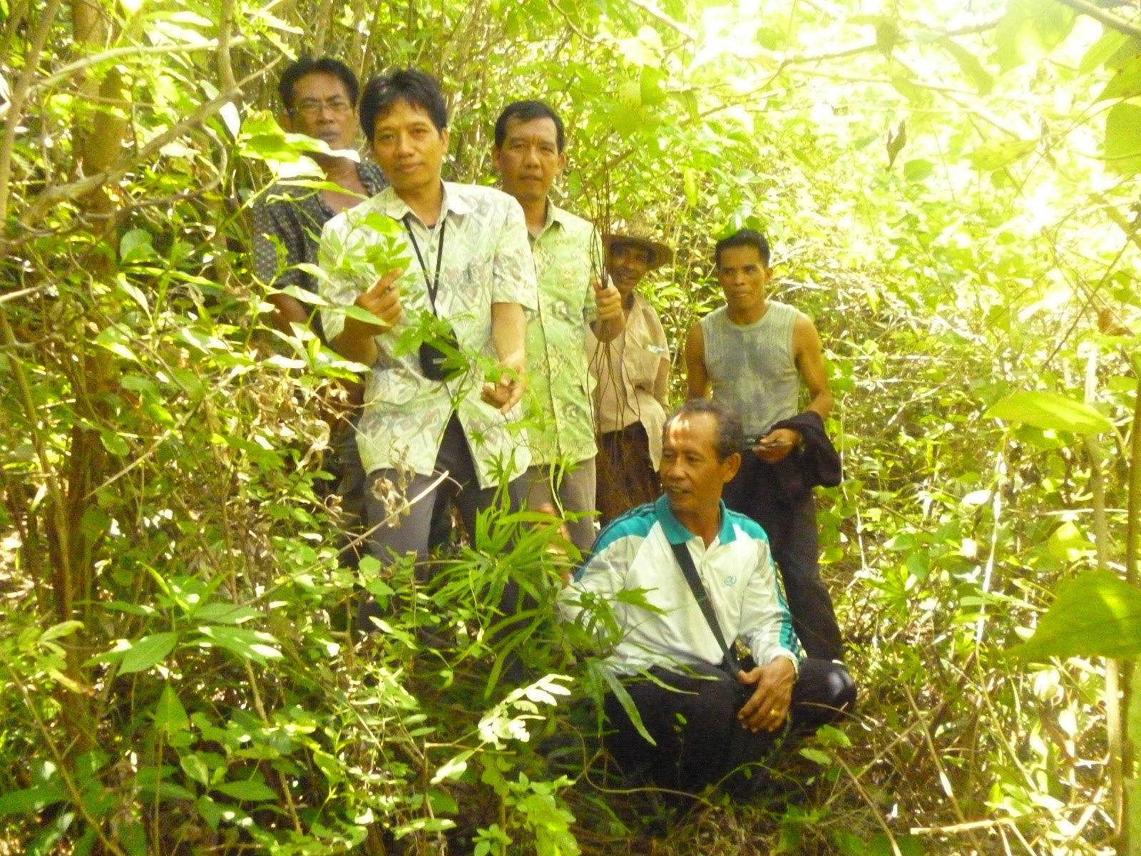 dishutbunloteng@blogspot.com: PENGEMBANGAN HHBK TANAMAN KETAK; Menjawab ...