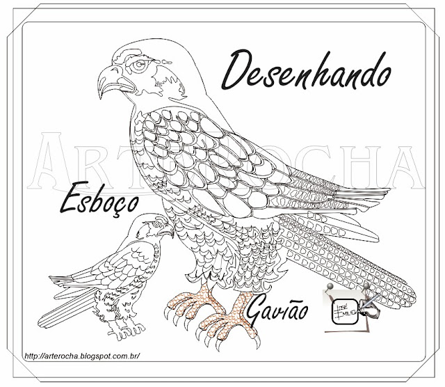 ARTEROCHA: GAVIÃO - Esboço