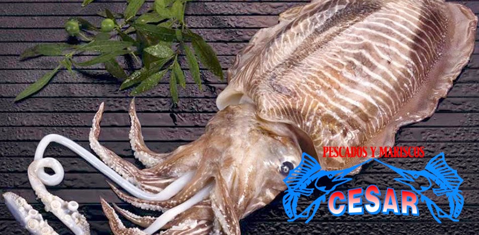 Pescados y Mariscos Cesar: Productos Congelados