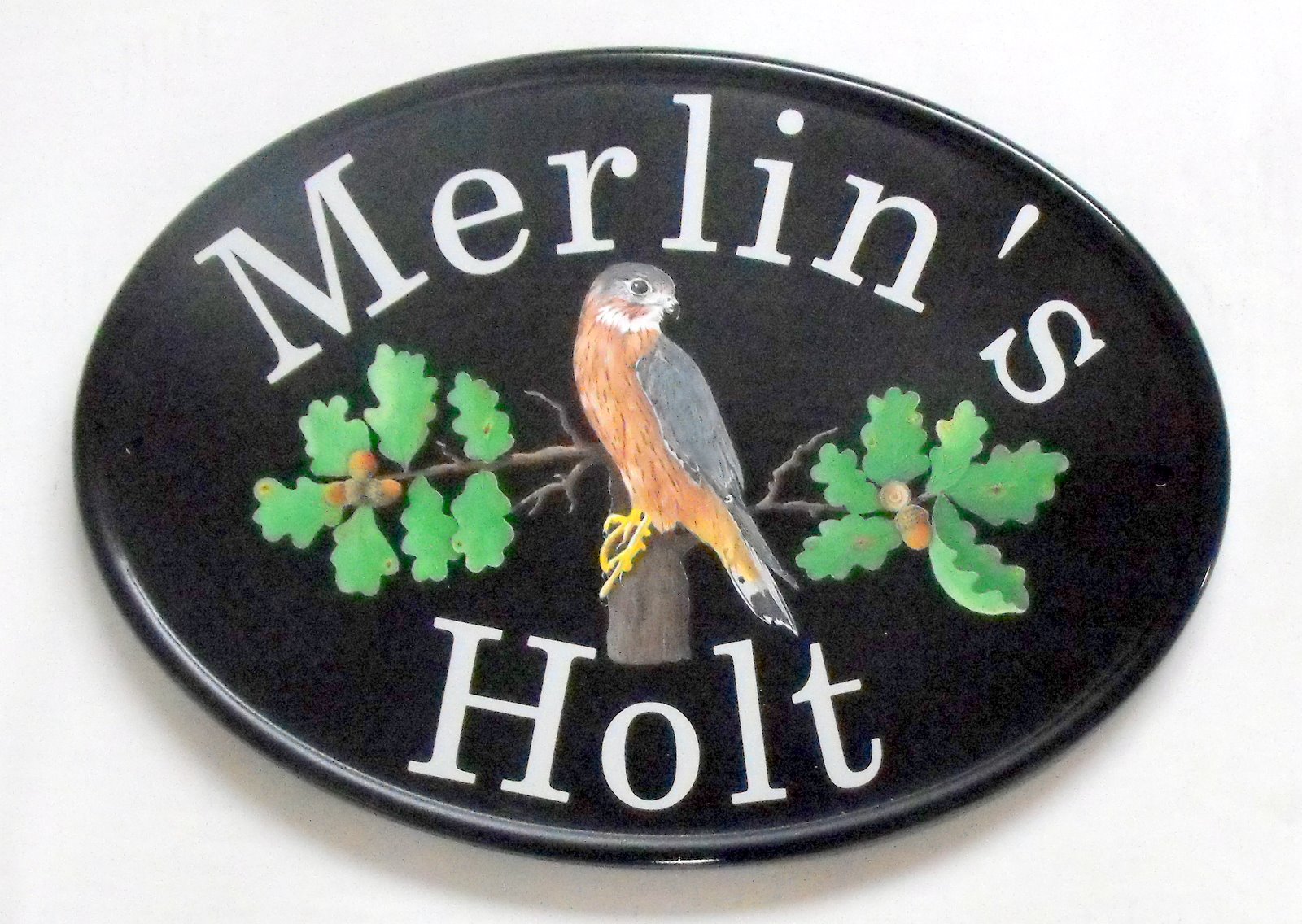 Pictorial House Signs from Yoursigns Ltd: Merlin bird house sign