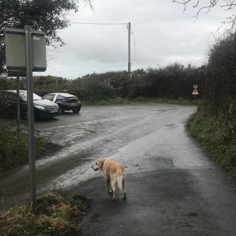 Stroll - Llanbedrog Headland, visiting the "Iron Man"