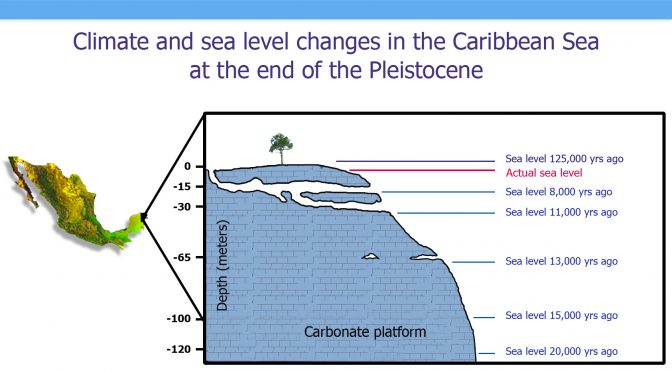 Pollution Science 101 - Mexico - Faults of Mexico: 2019