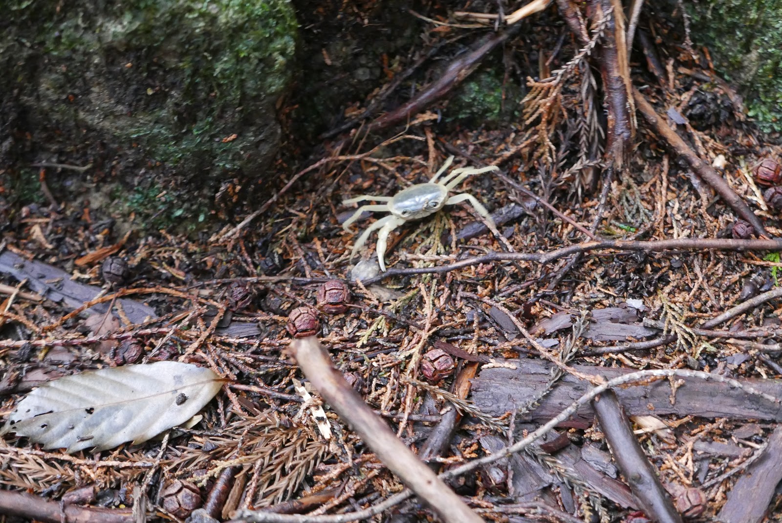 Mada mada desu: Les photos du 3 mai