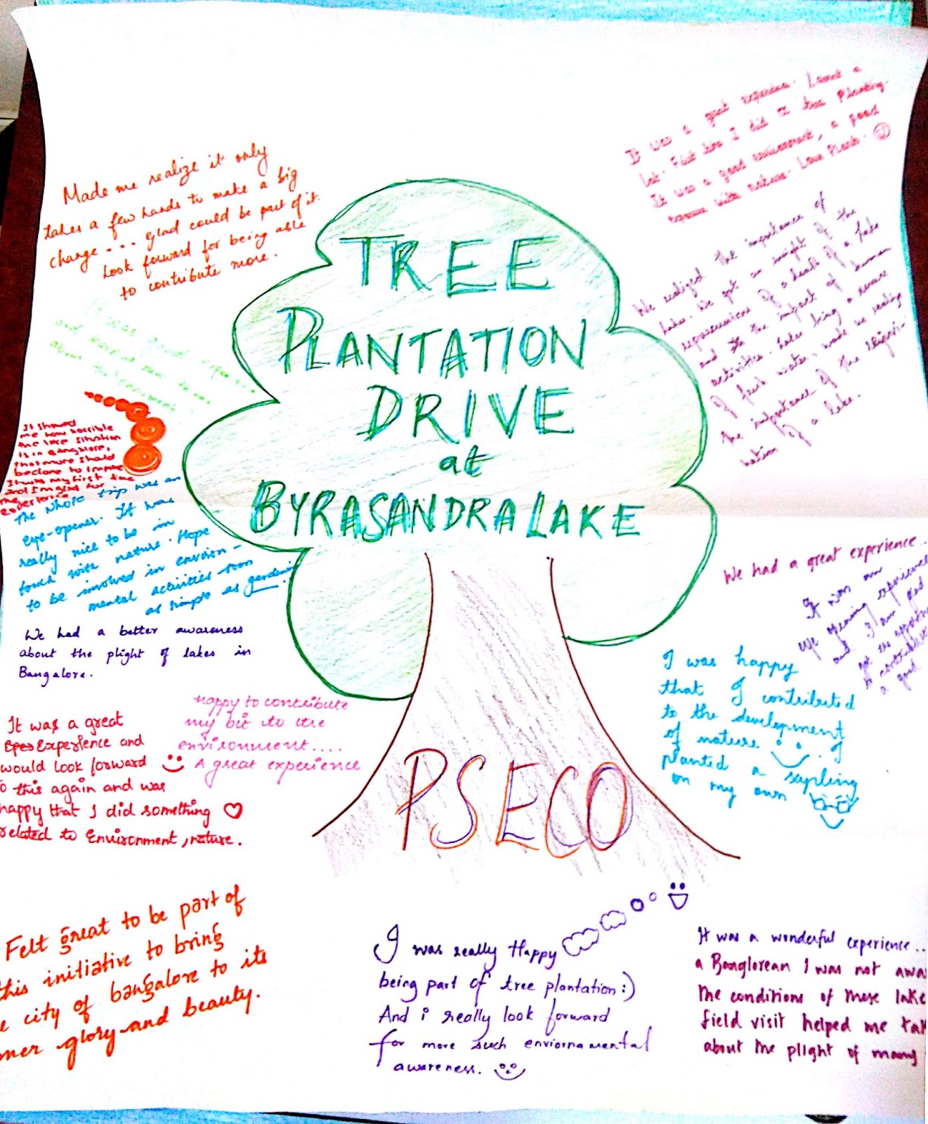 Department of Sociology: Tree Plantation Drive