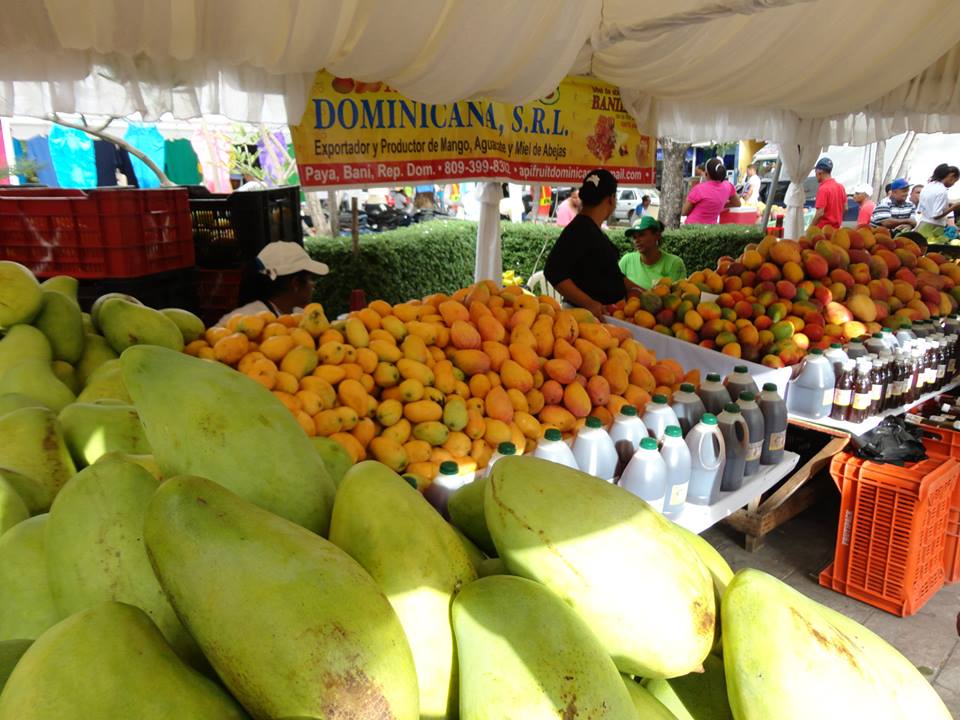 BUSCARÁN AUMENTAR EXPORTACIONES DE DISTINTAS VARIEDADES DE MANGO DE ...