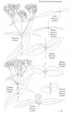 Urban Sketchers Chicago: An Urbansketching Field Guide