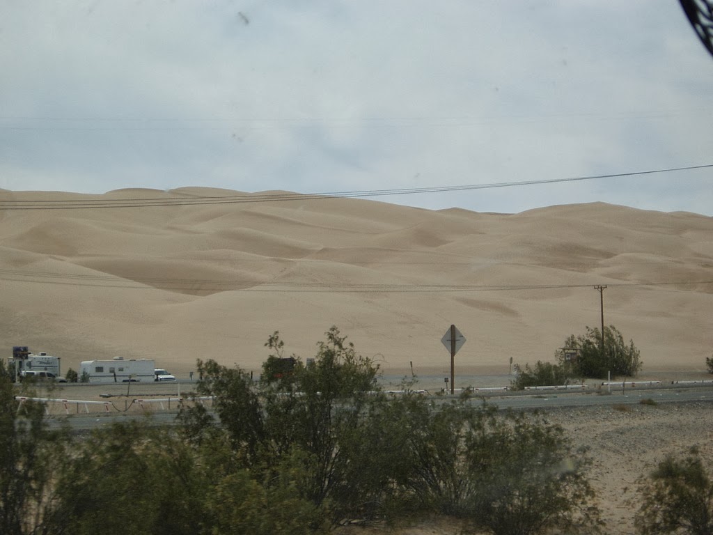 Road Runner: The Center Of The World - Felicity, CA