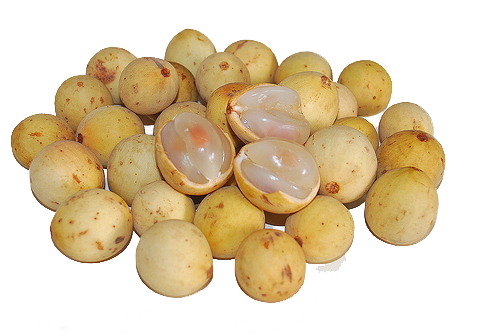 Kandungan dan Manfaat Buah Duku