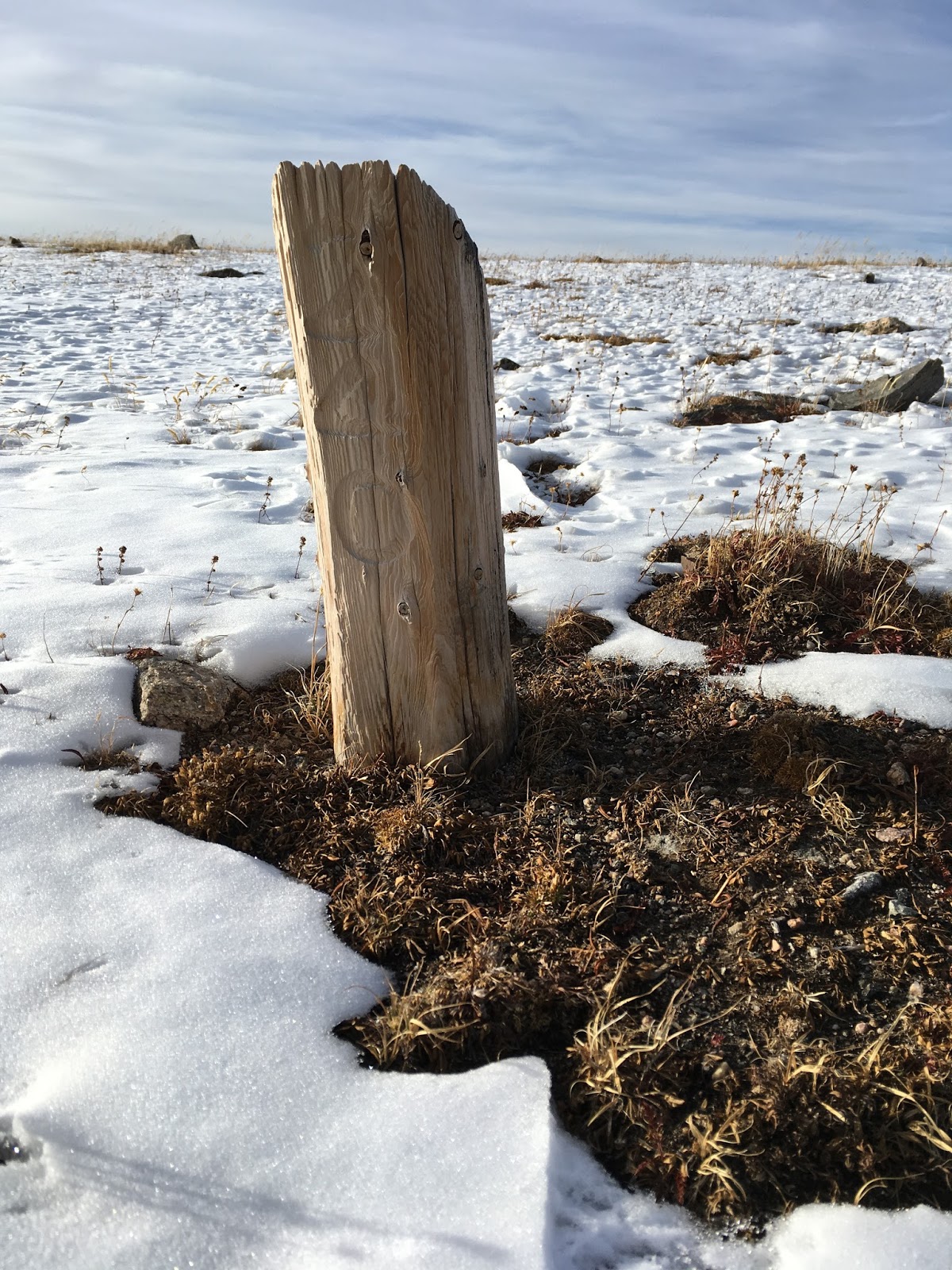 Hiking Rocky Mountain National Park: Hiking the Ute Trail.