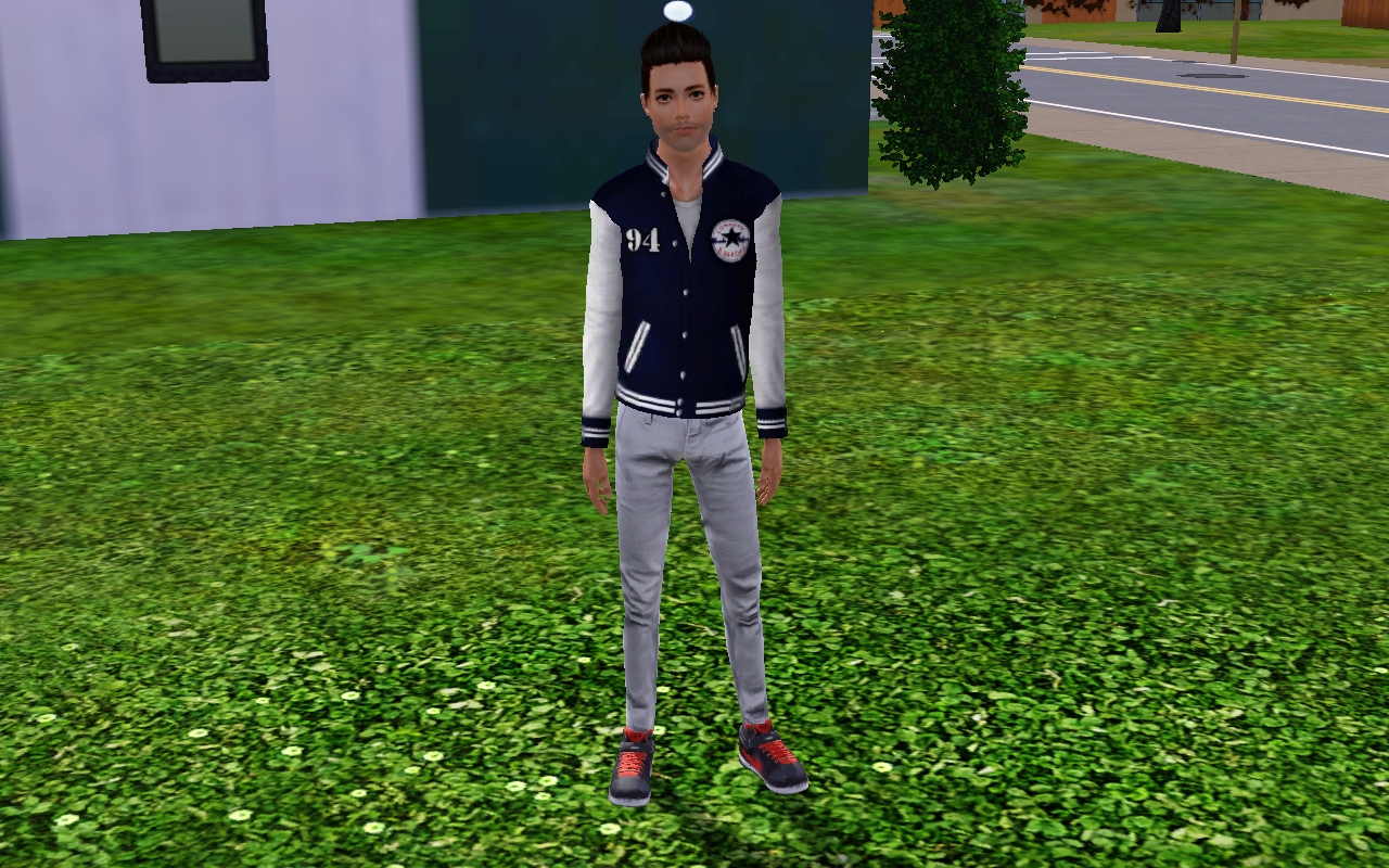 Zayn Malik sim | nekohebi sims