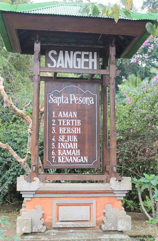 Style Before Dawn: BALI: SANGEH MONKEY FOREST / SAVE THE ORANG UTAN!