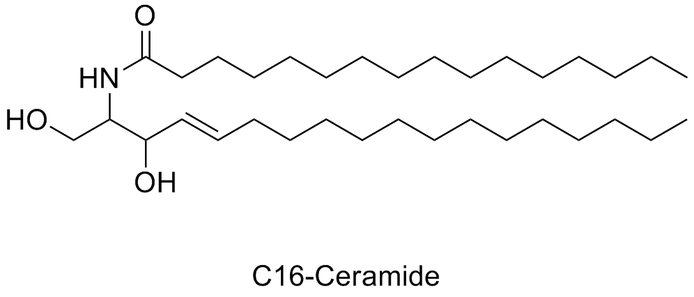 Joe's Science Corner: The Role of the Enzyme Acid Ceramidase in the ...