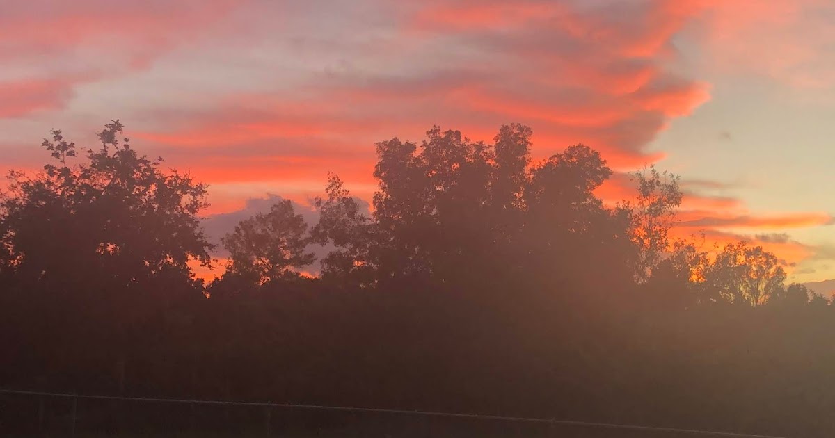 A View From Serenity Acres: Living Between Two Worlds