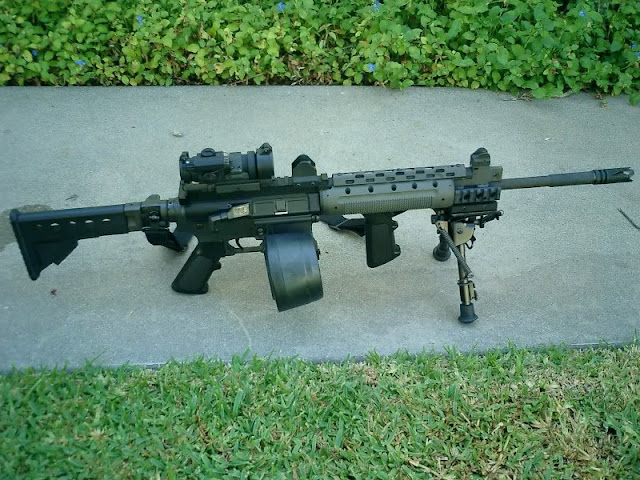 Defensa y Armas: Fusil de asalto: LR-300 (USA)