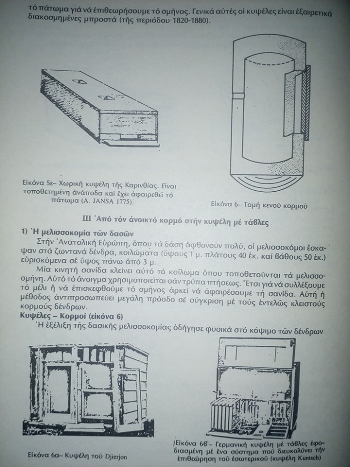 Η ιστορική εξέλιξη της κυψέλης: Σύμφωνα με τις εργασίες του Friedrich ...