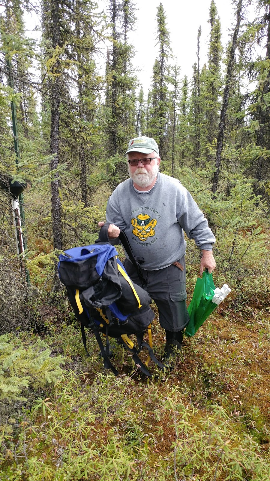 The 55th Parallel: Pictures 2017