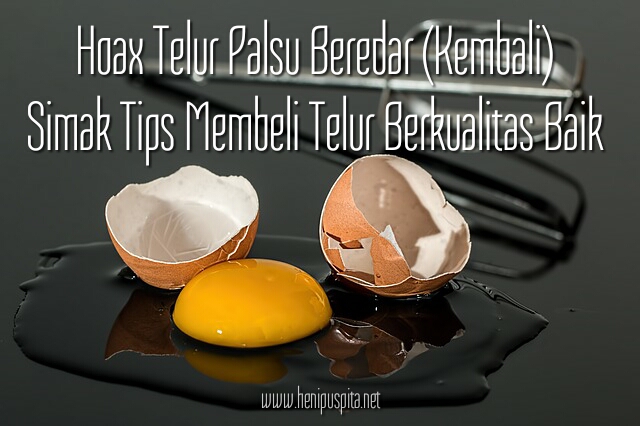 Hoax Telur Palsu Beredar (Kembali), Simak Tips Membeli Telur ...