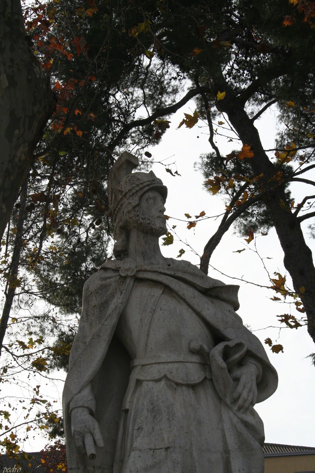 MADRID: REY DON PELAYO DE ASTURIAS