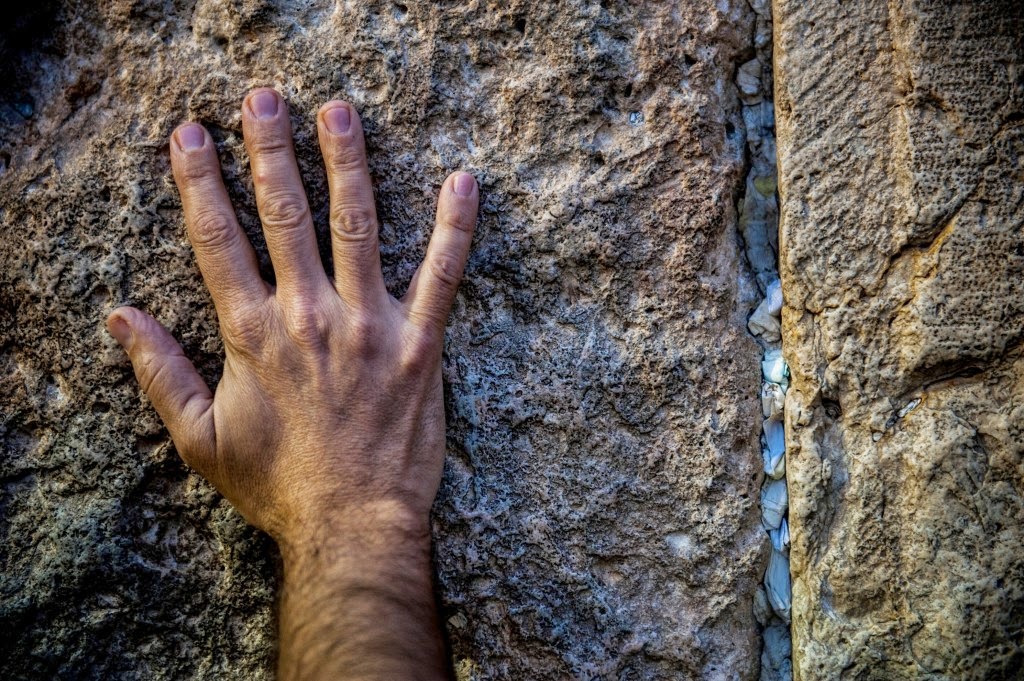 Simona Segoloni Ruta"Il Testamento di Frate Francesco (1226)"