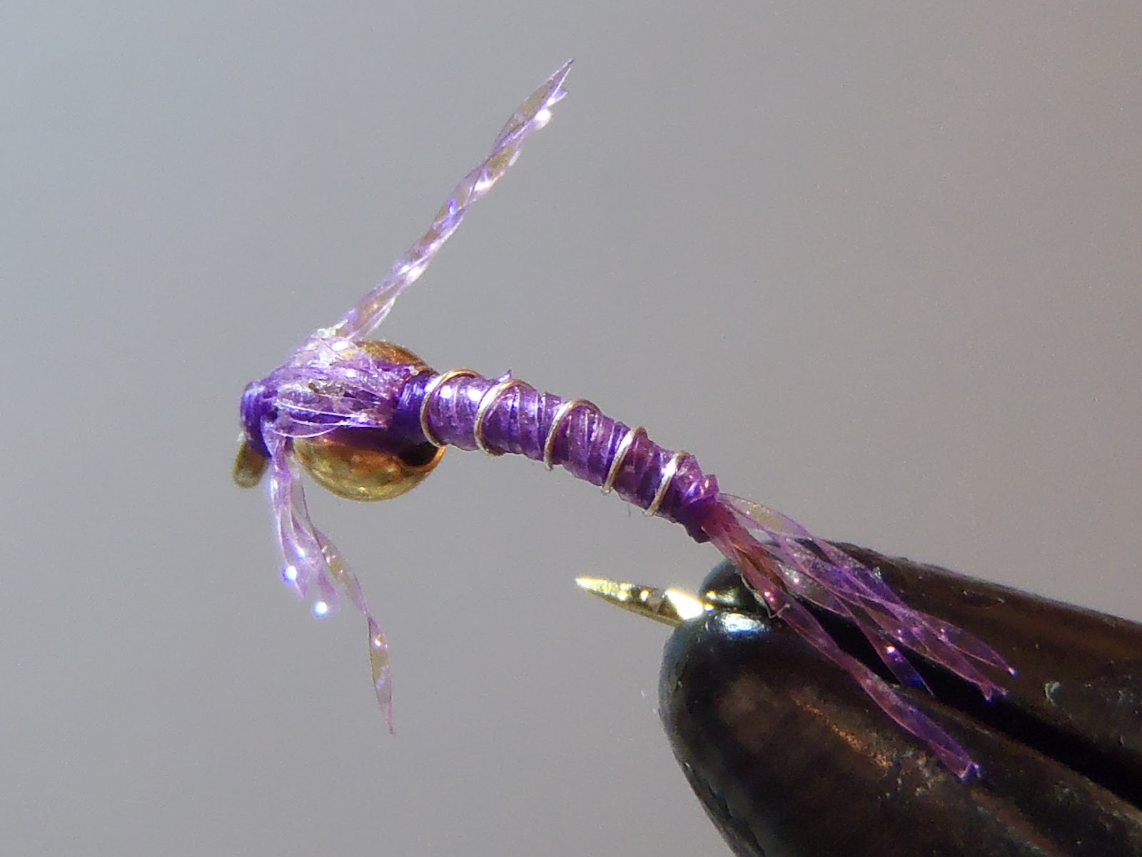 Mountains, Rivers, & Trout: Purple-------Something??