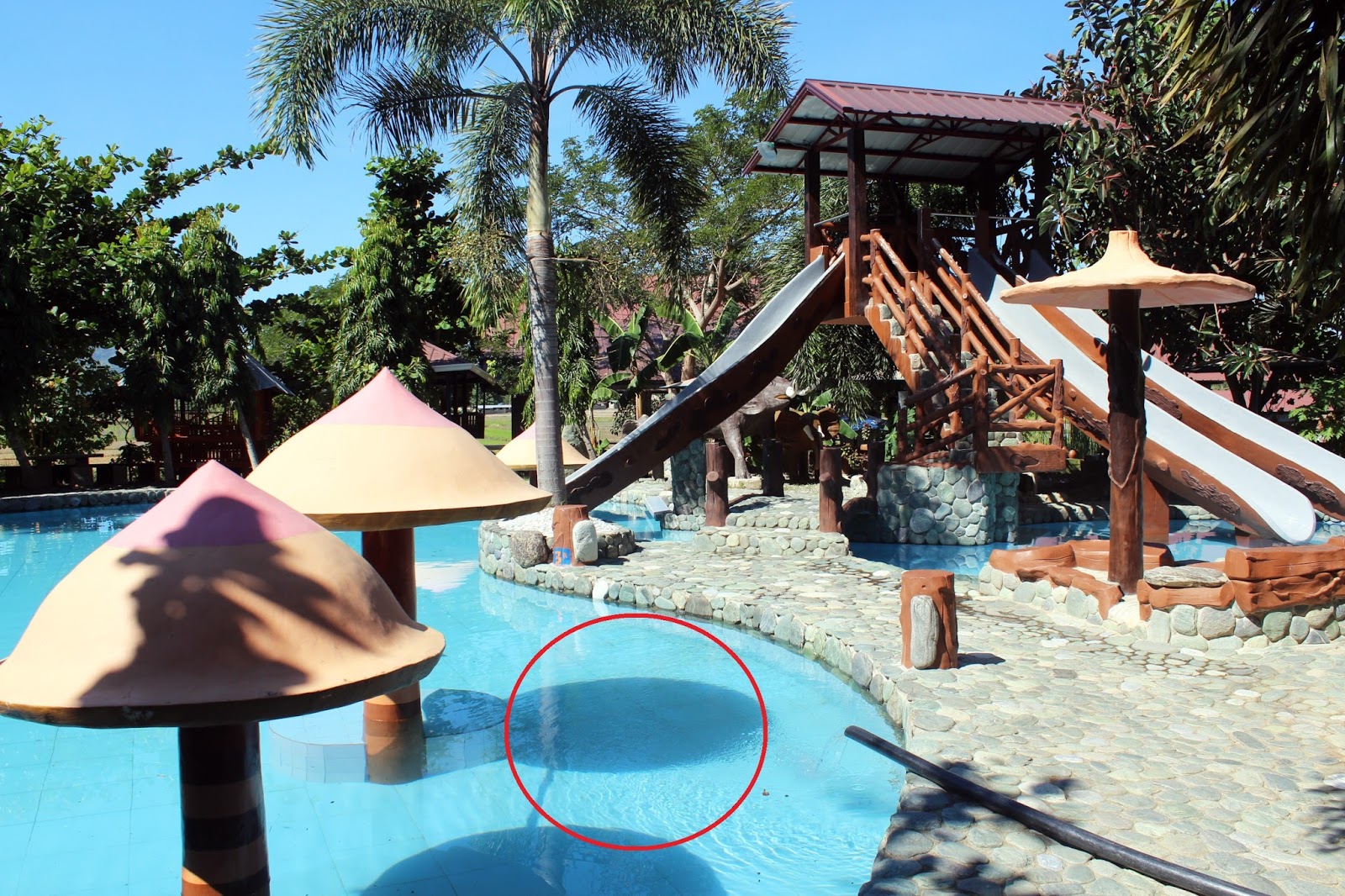 Why people keep coming back to Stone 8 Resort? Find out why! ~ Travel ...