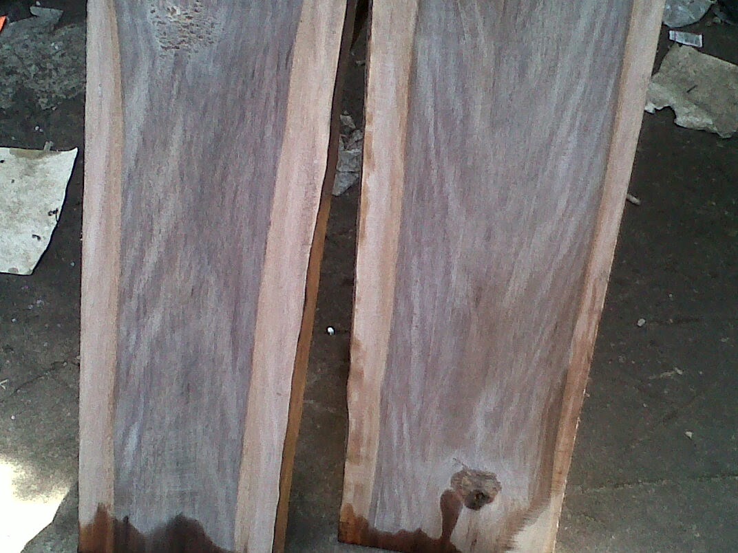 menjual berbagai macam ukuran dan jenis kayu dengan harga grosir: kayu ...