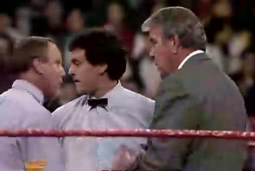 Wrestlemania para siempre: Royal Rumble (1994)