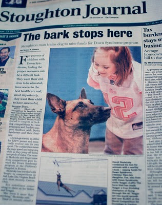 Robert & Patricia Petit Photography Capturing a Dog's Character