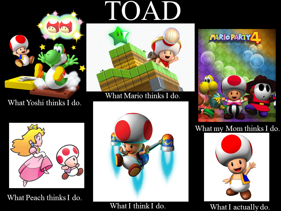 Yoshi's Stories: Toad's Short Biography.