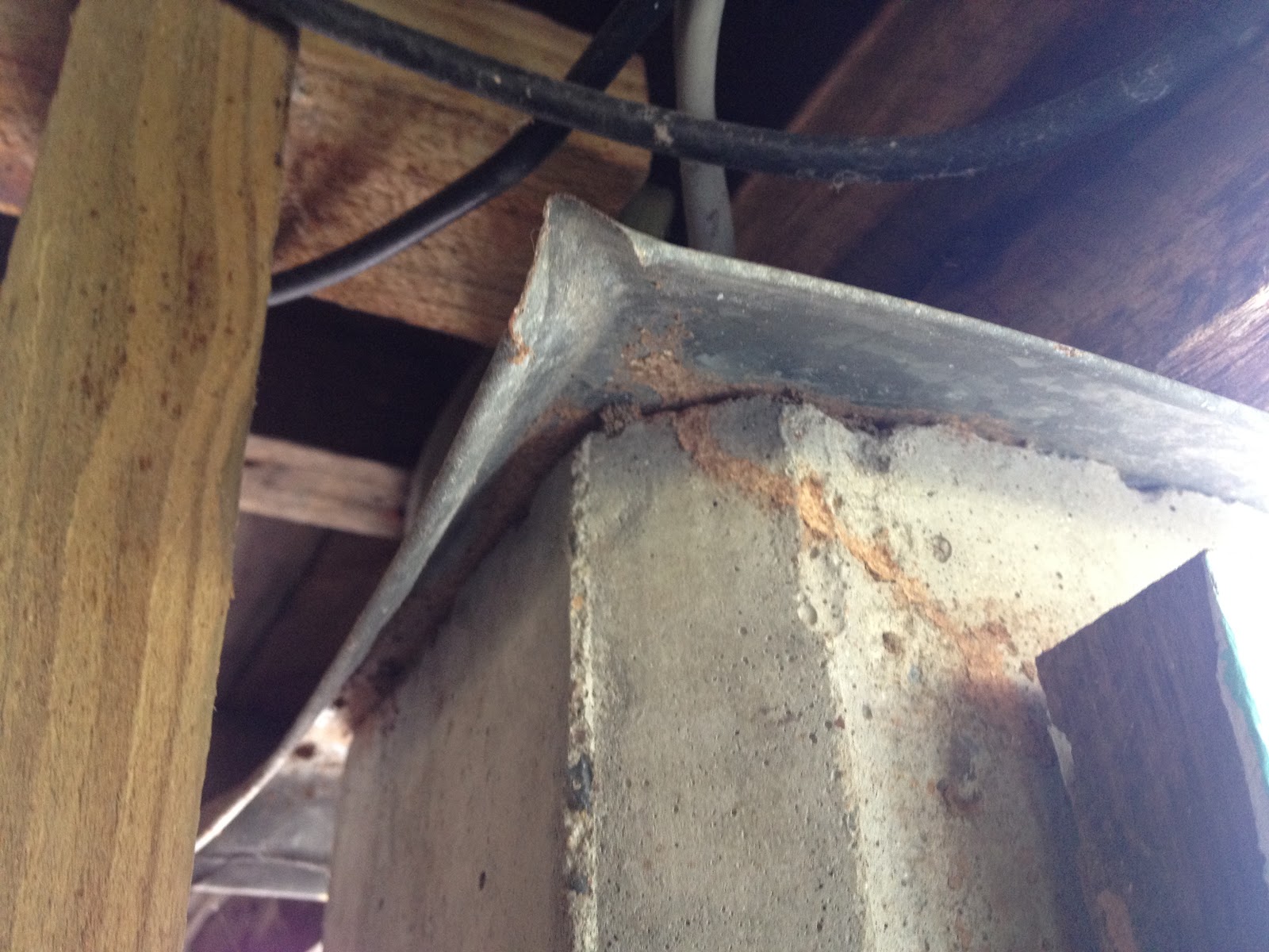 Pest Control in Brisbane