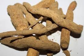 Simplisia Radix ~ Ega Ayu Prastika