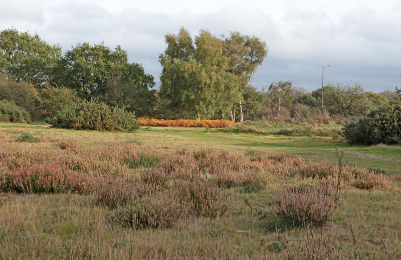 Dartford Heath, Kent - 24/10/17