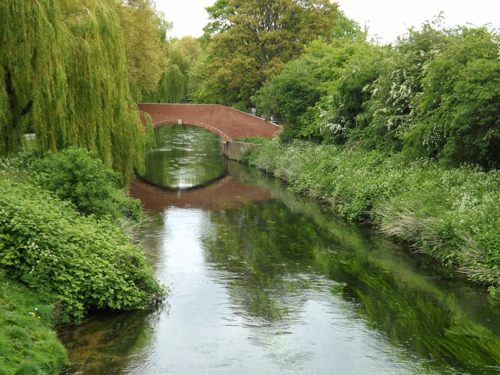 NB Holderness: Returning to Retford.