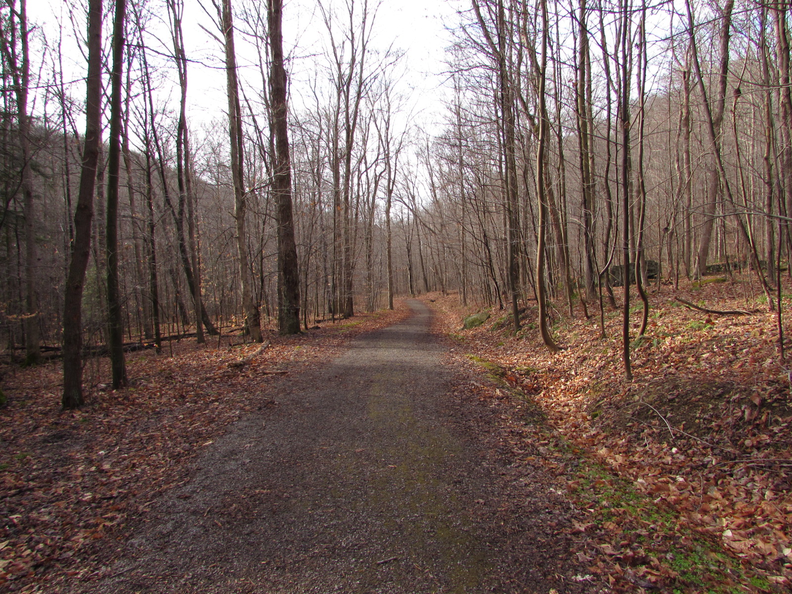 Roaring Run Natural Area, Apollo, PA | Interesting Pennsylvania and Beyond