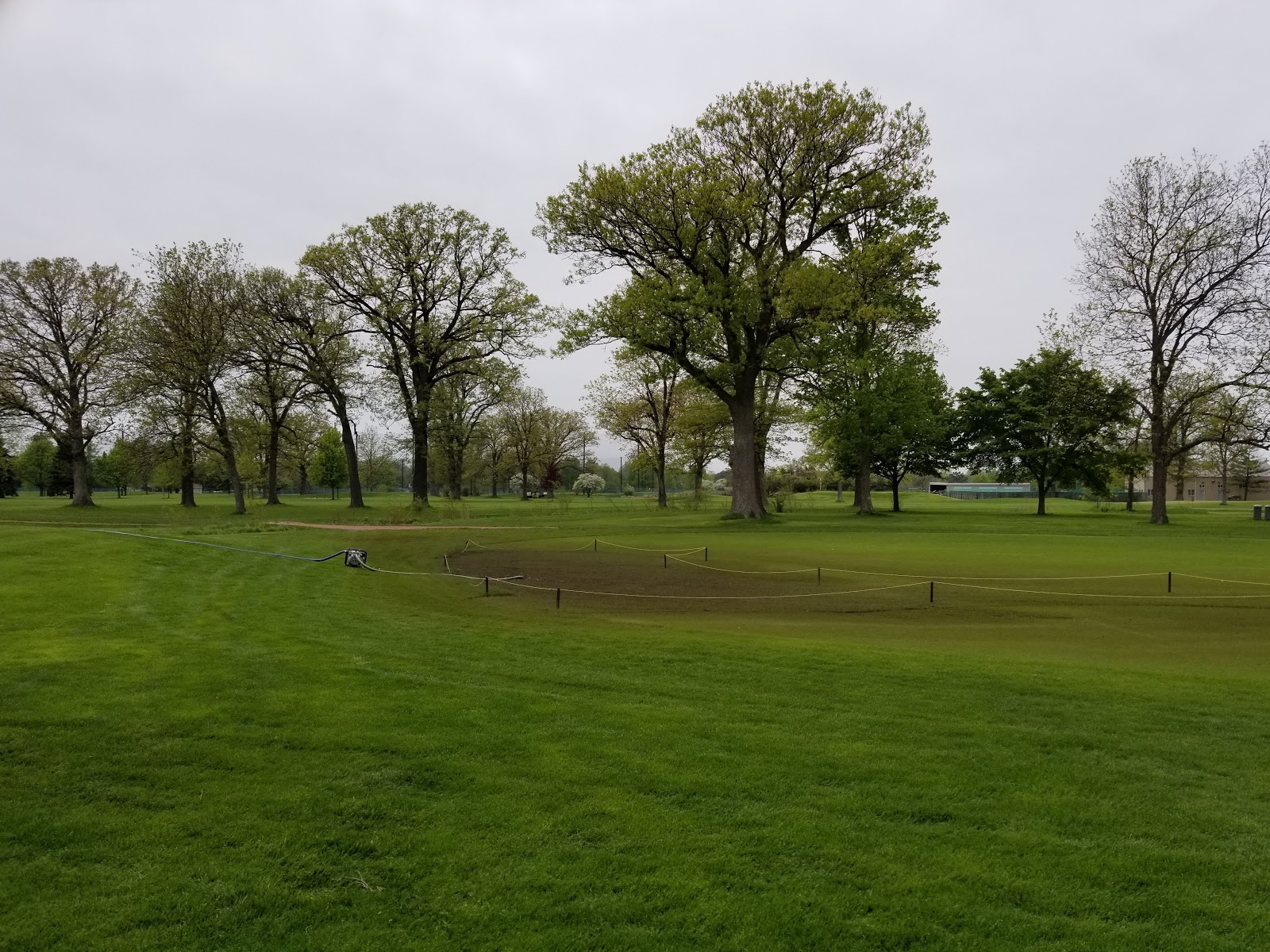 Wilmette Golf Club Grounds and Greens : 2018