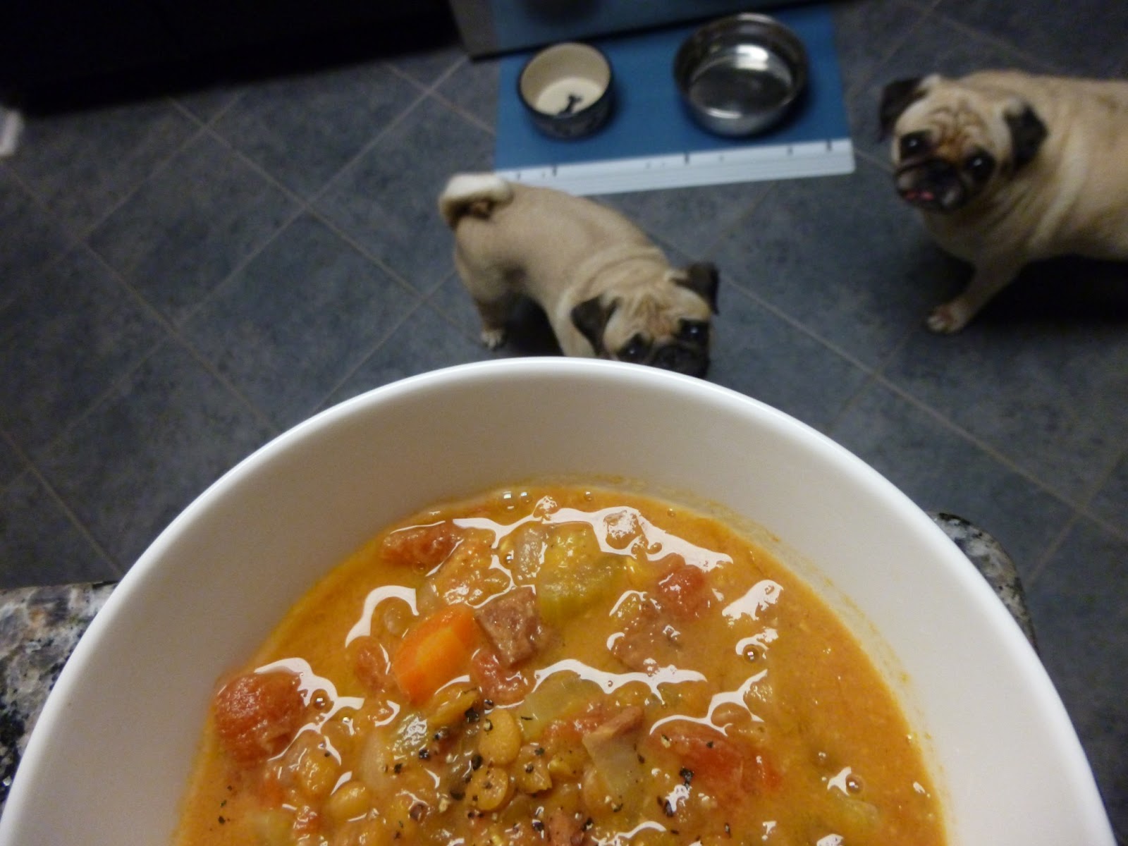 Grubbin' Pugs: Curried Lentils and Tomatoes Stew