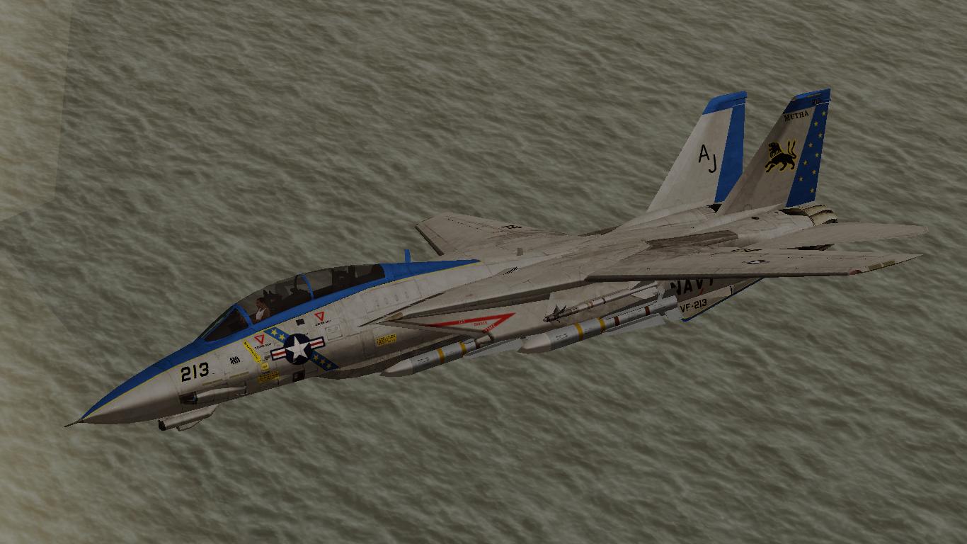 HAWX Squadron: [REL]F-14D VF-213 Black Lions