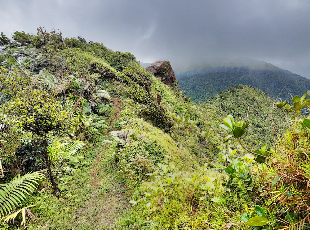 Bike and Hike Grenada - Cycling to Grand Etang and hiking to Mt. Qua Qua