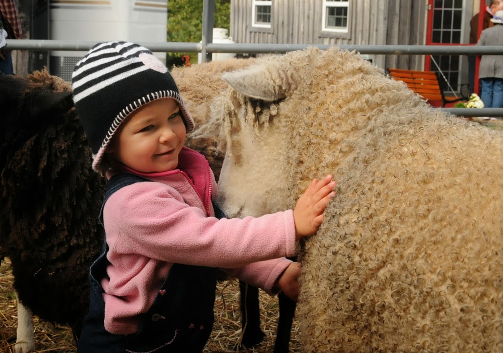 Punkin's Patch: Hugging Sheep - Part One