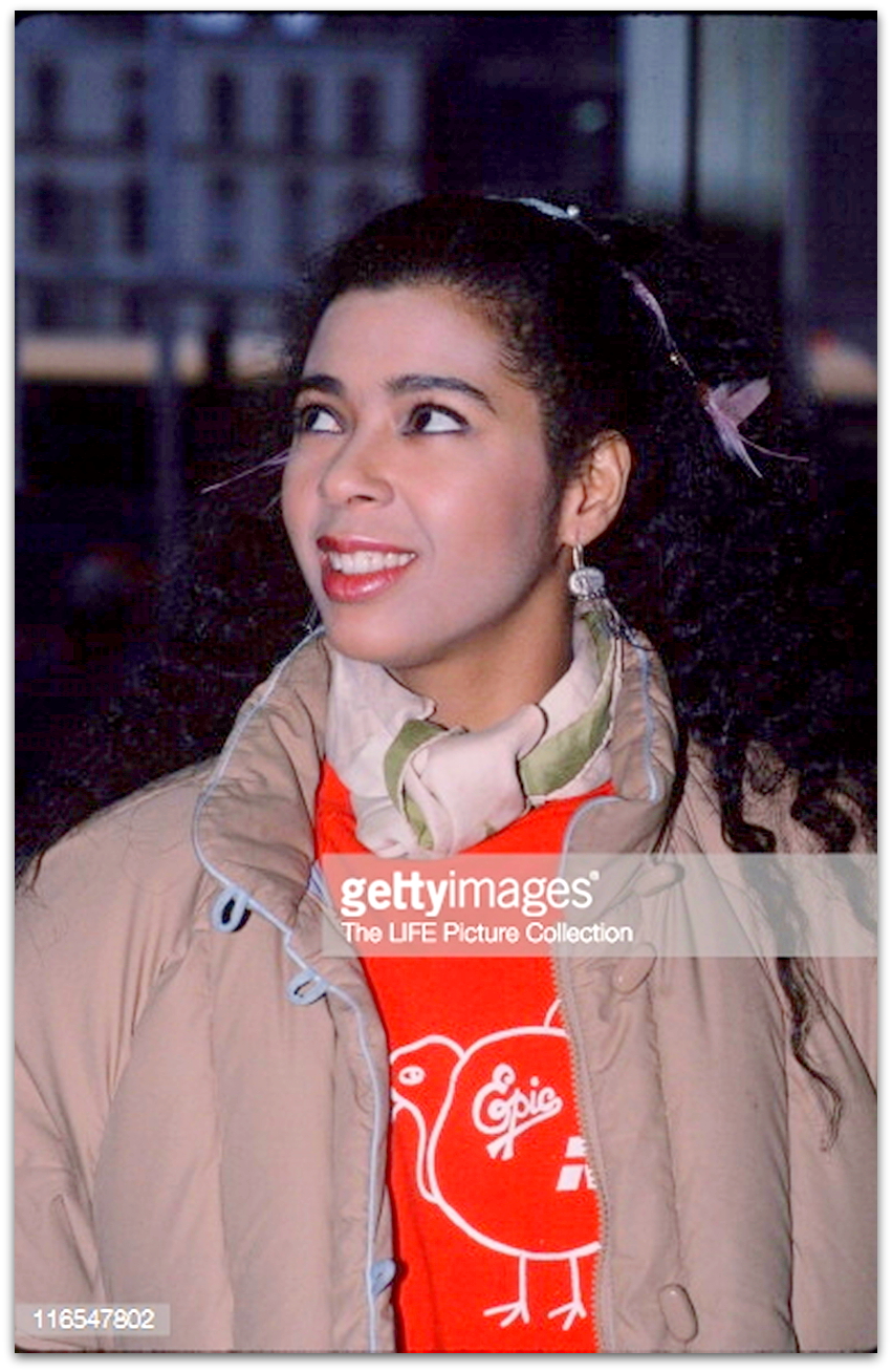 Brown Sugar: Over 80 Years of America's Black Female Superstars