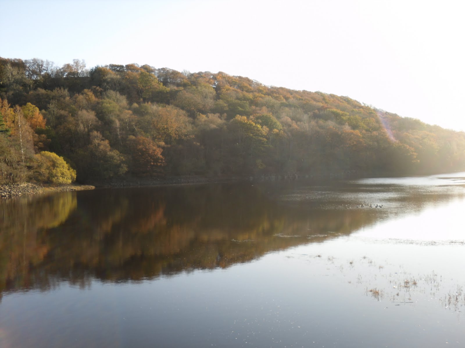 Rambling Nana: Wolsingham, Tunstall Reservoir Circular