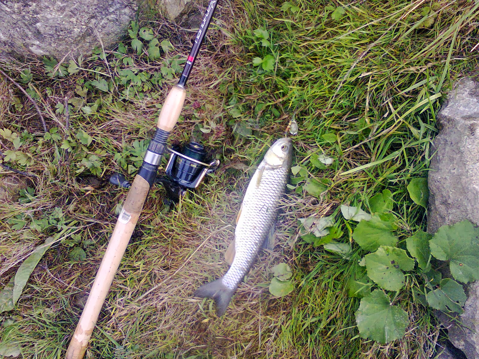 Pescuitul sportiv - mai presus de pasiune