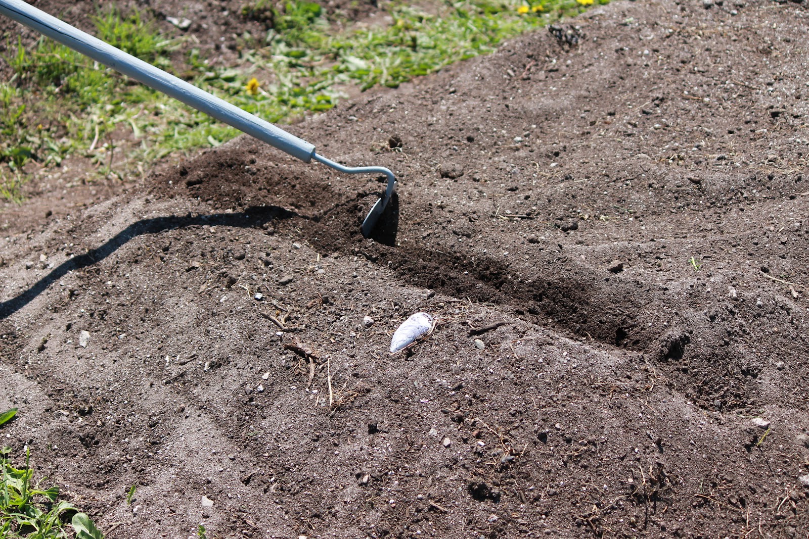 Bills Garden Tips: Homemade Garden Hoe