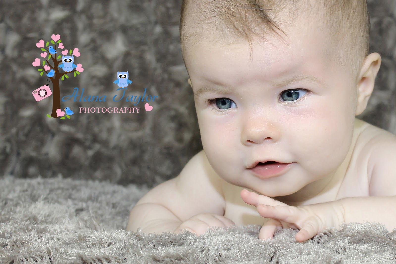 Alana Taylor Photography Cheap Photographers Melbourne Baby Tahlia alana-taylor-photography-cheap-photographers-melbourne-baby-tahlia