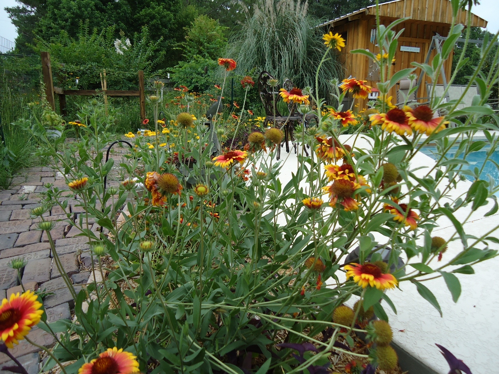 Cracker Rose Acre - Fort White - Florida: Cracker Rose Acre - Fort ...