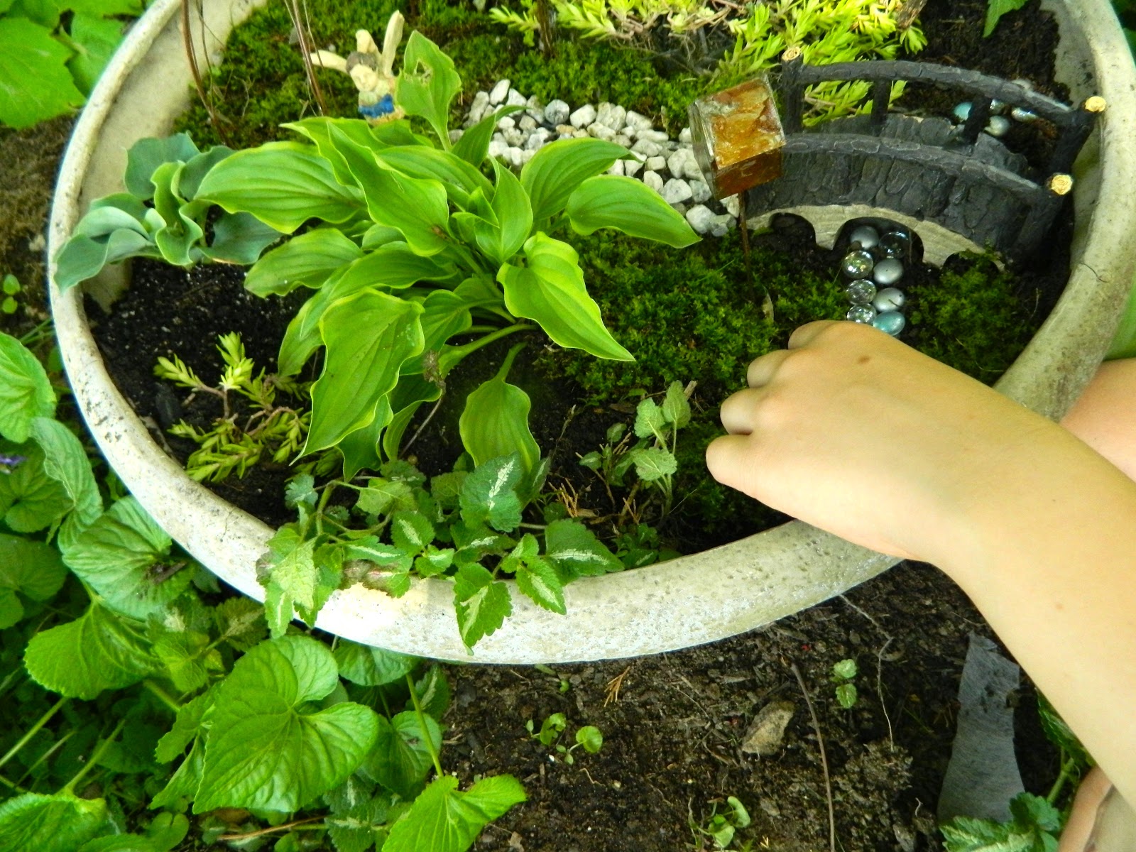 Pam's English Cottage Garden: Miniature Gardening: Part 3 -- Step-by ...