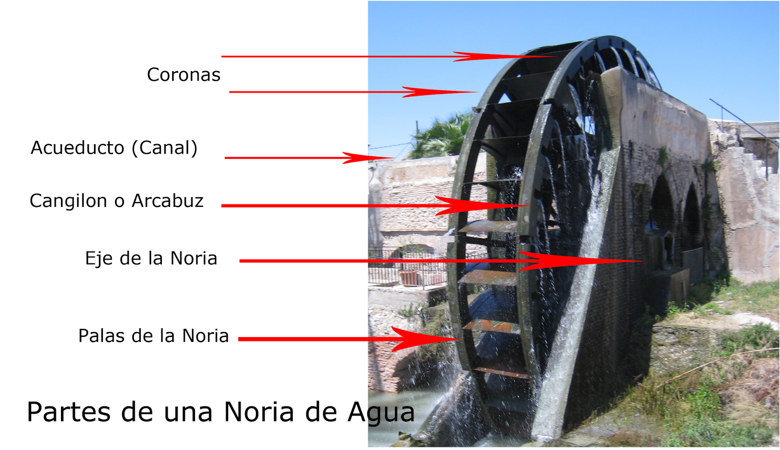 Tic en el Museo de la huerta: Partes de una Noria de Agua.