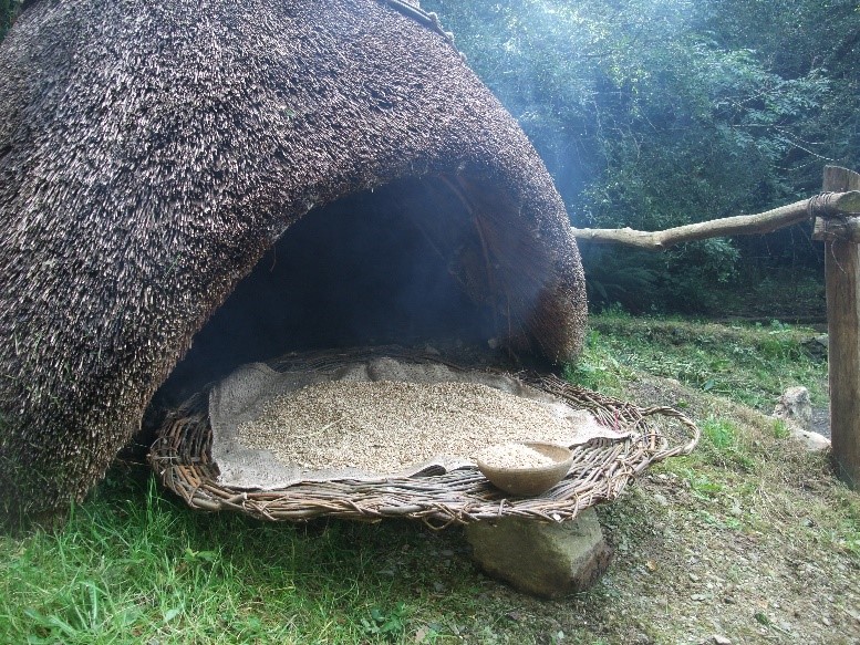 Environmental Archaeology in Ireland