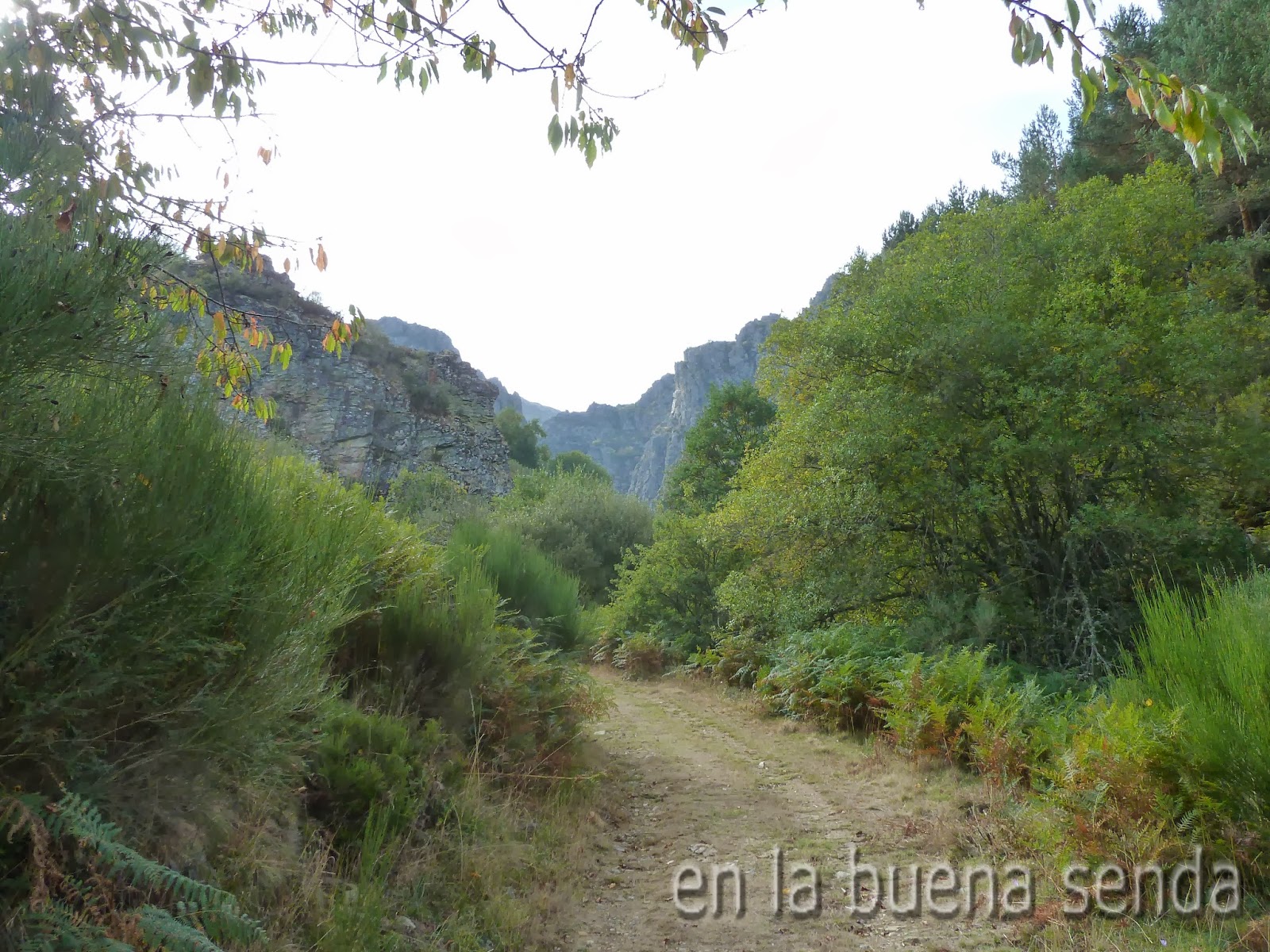 en la buena senda: Puerto Horcadas: ruta de pastores