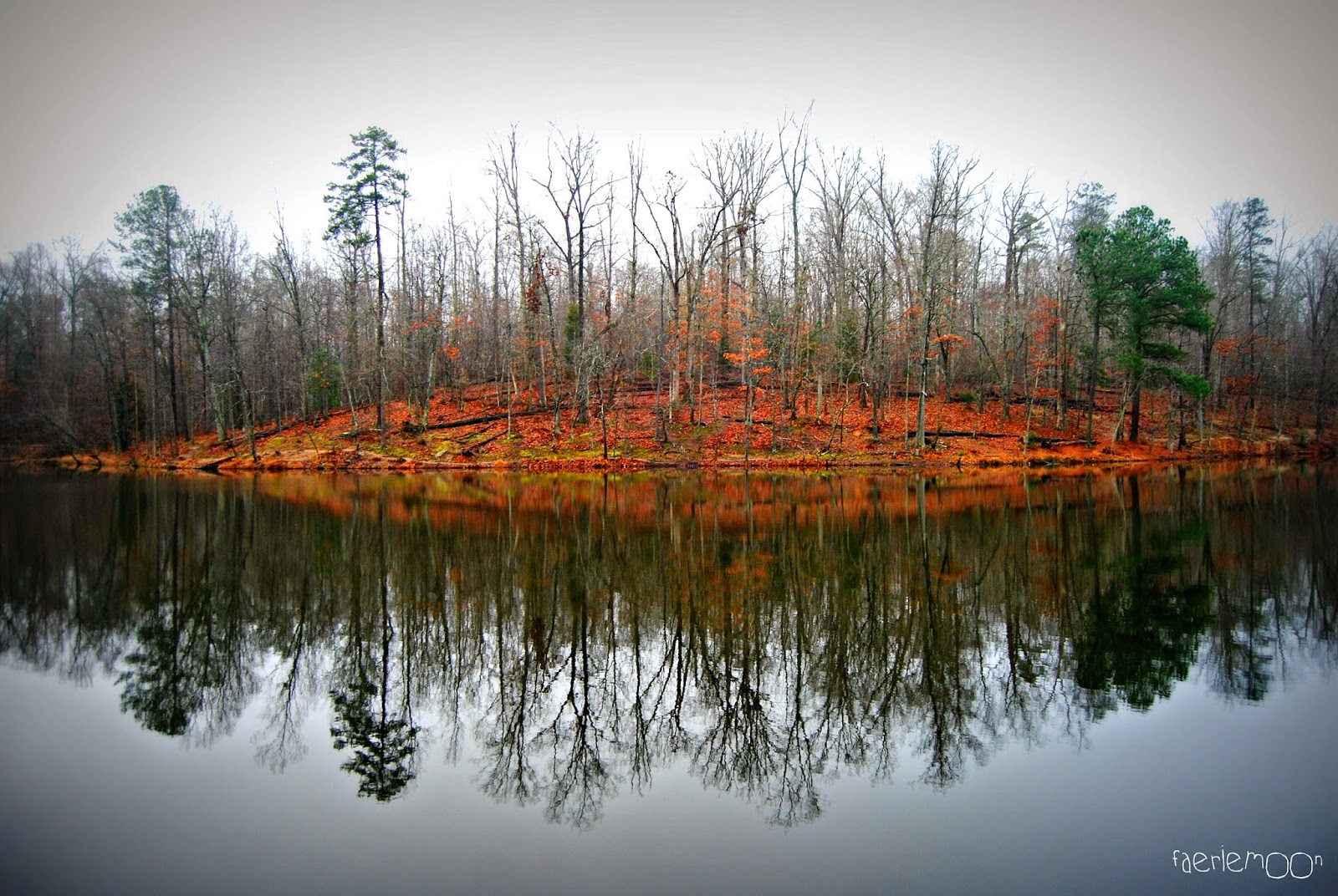 Clarissa Johal: #Paranormal Wednesday-Origins of the Fae
